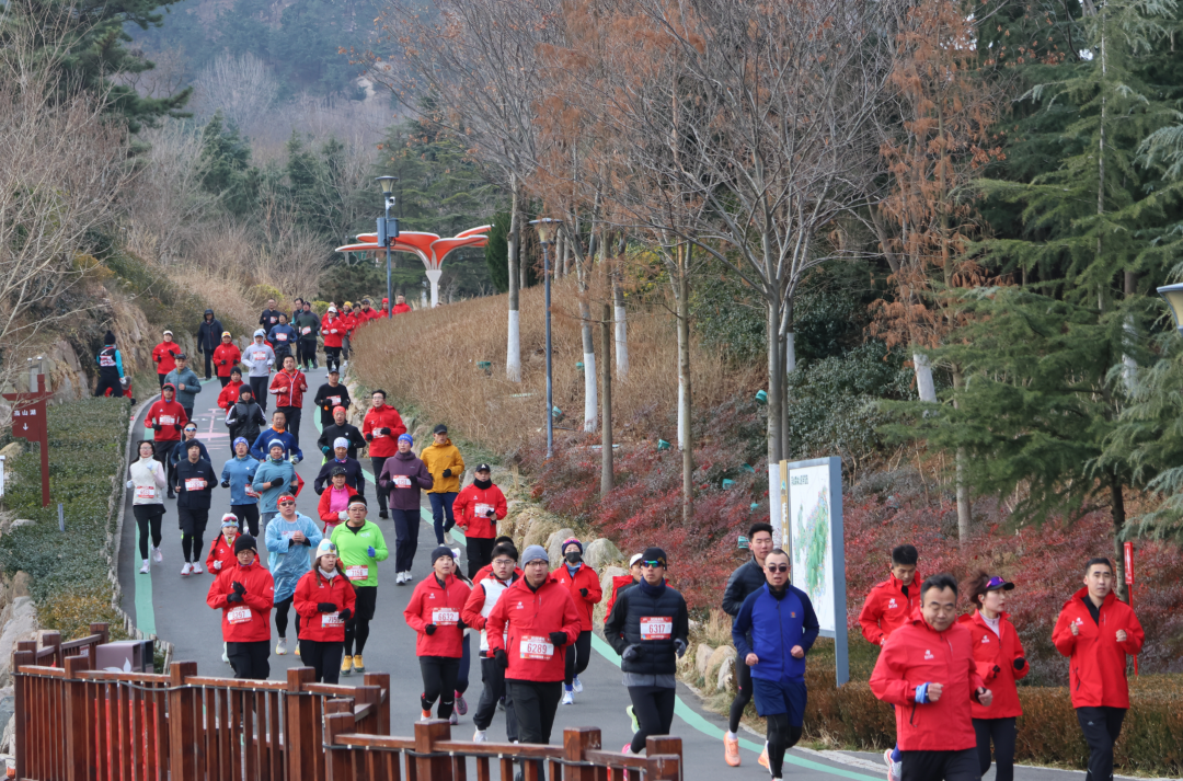 一元复始，万象更新丨2026青岛登高纳福迎新跑今日启程-新闻-青岛网络广播电视台